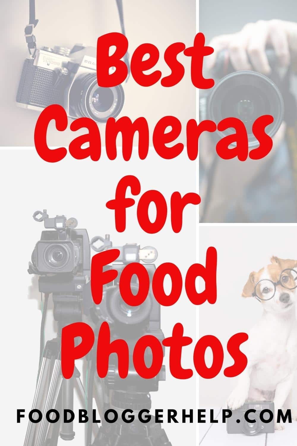 Best Camera for Food Photography | Food Blogger Help